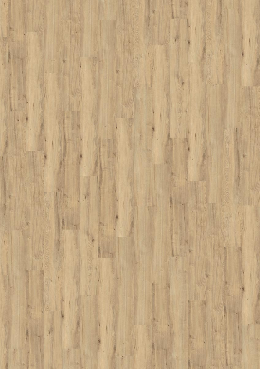 Skaben Bioboden Pro Climate Glue 40 WOOD natürliche Asteiche ...